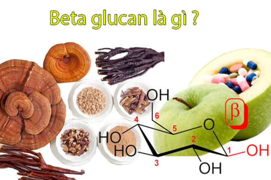 Beta-glucan là gì? Giải mã bí quyết tăng cường sức khỏe và miễn dịch ...